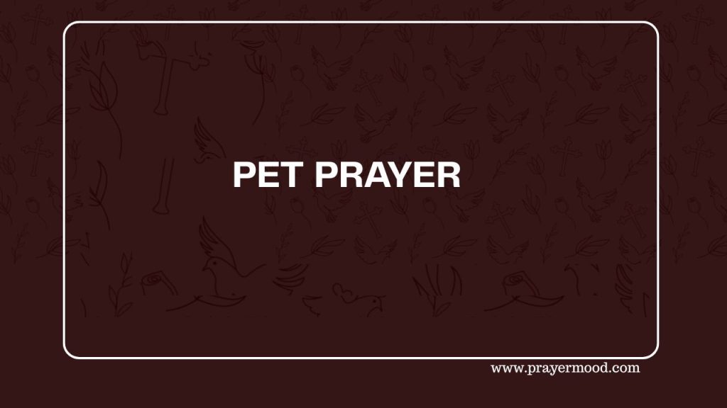 30 Daily Pet Prayers: Keep Your Beloved Companions Safe and Happy