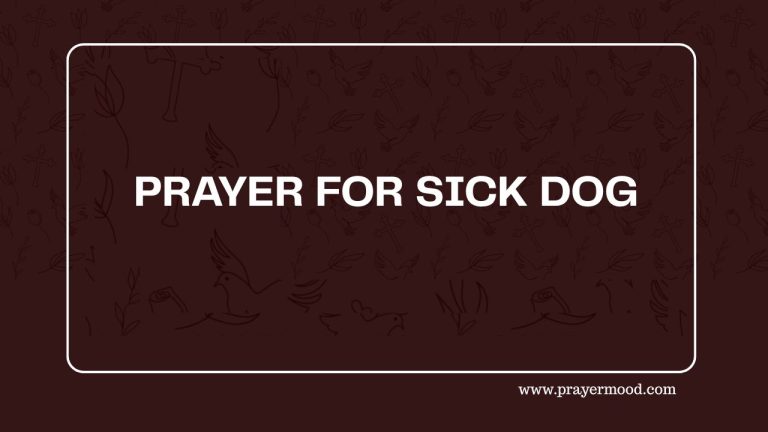 30 Scripture-Based Prayers for a Sick Dog That Brings Divine Healing