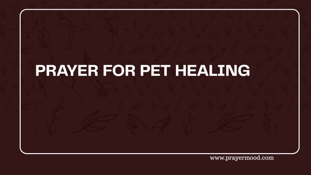 30 Powerful Pet Healing Prayers You Can Speak Today